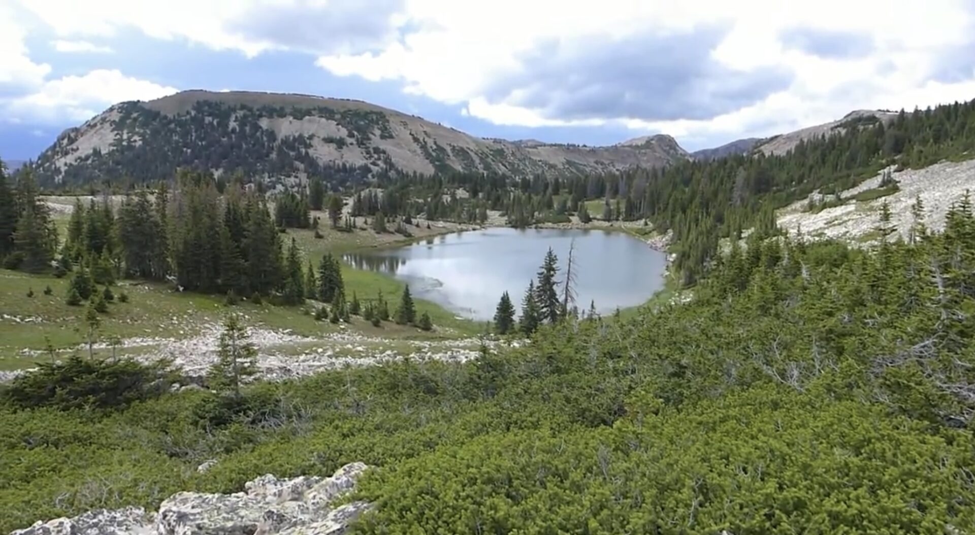 Uinta-Wasatch-Cache National Forest: Your Outdoor Adventure Awaits ...